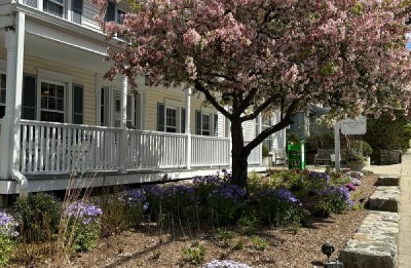 Home | Bedford Hills Free Library